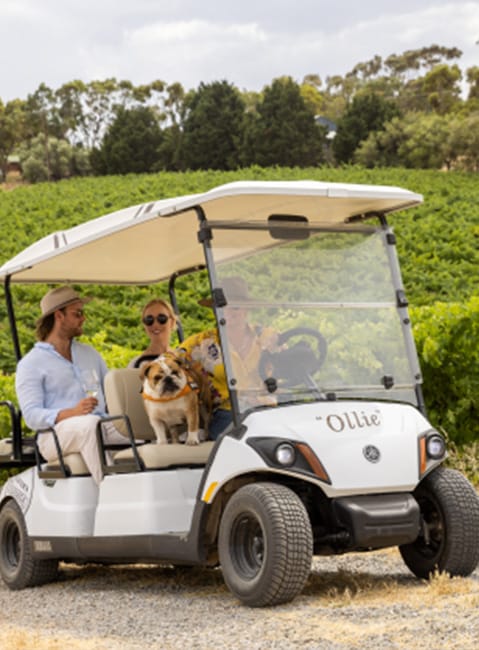 Taranga Terroir Tour for Two | Oliver's Taranga Vineyards | Mclaren Vale