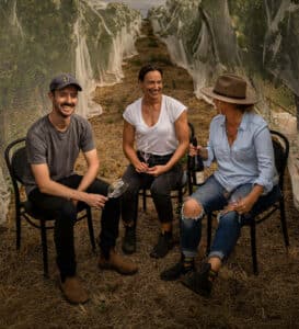 Home | Oliver's Taranga Vineyards