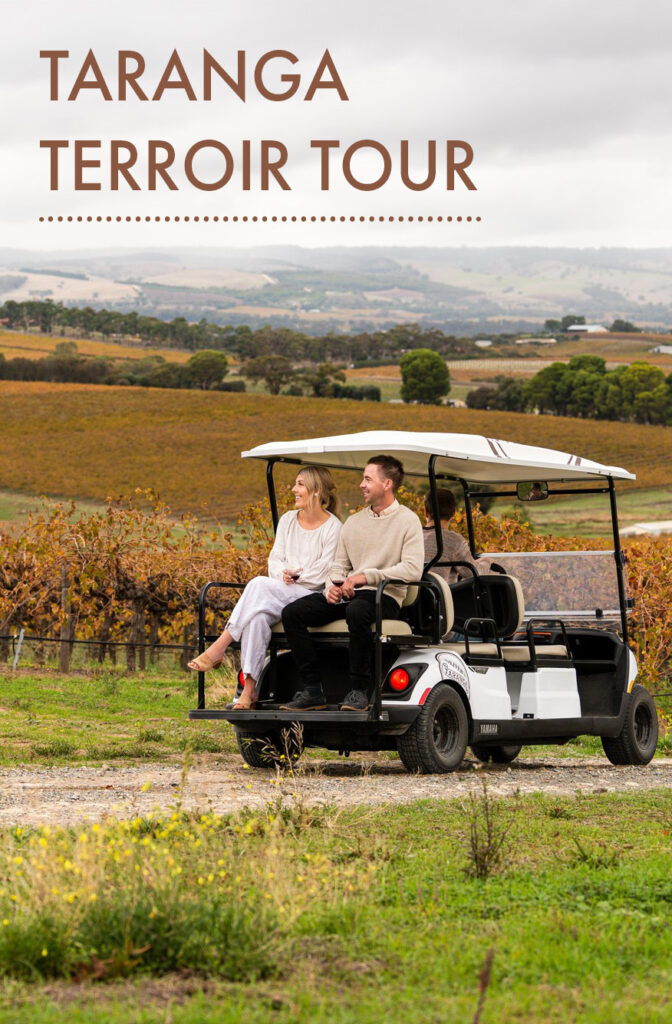 Taranga Terroir Tour for Two | Oliver's Taranga Vineyards | Mclaren Vale