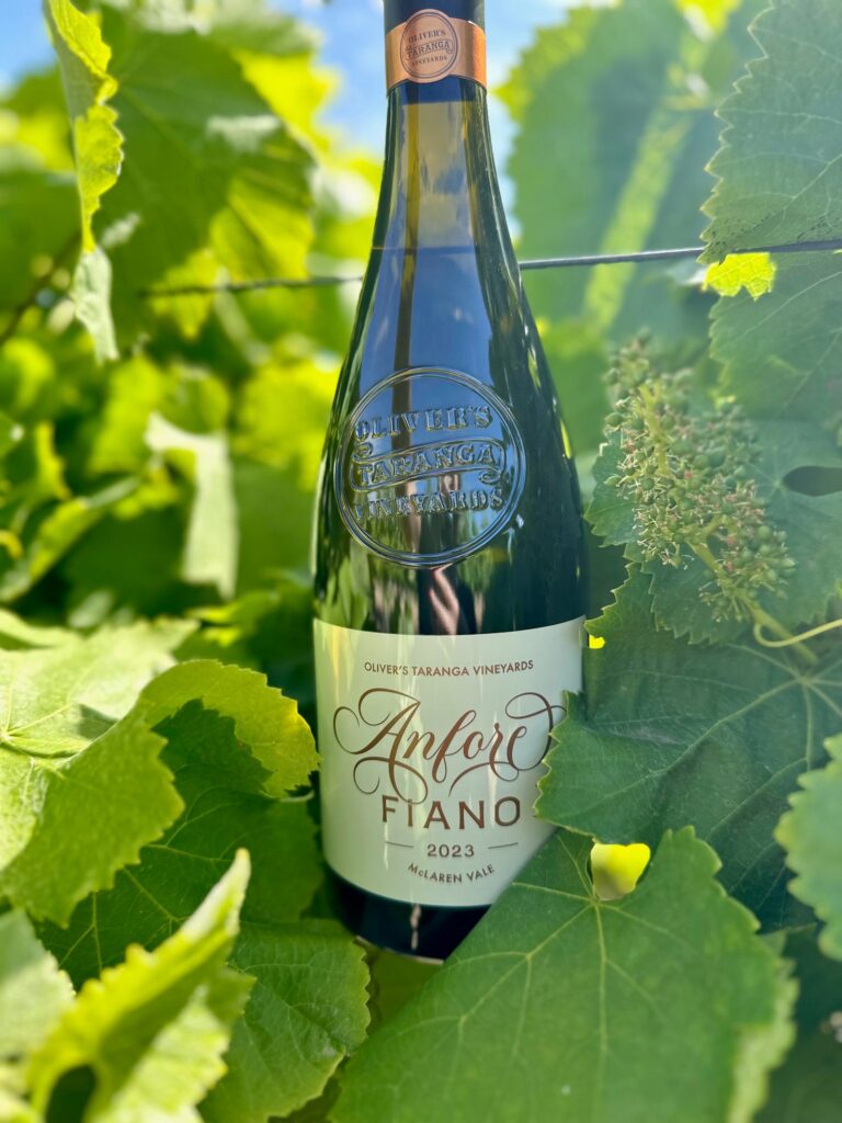 Anfore Fiano 2025 | Oliver's Taranga Vineyards