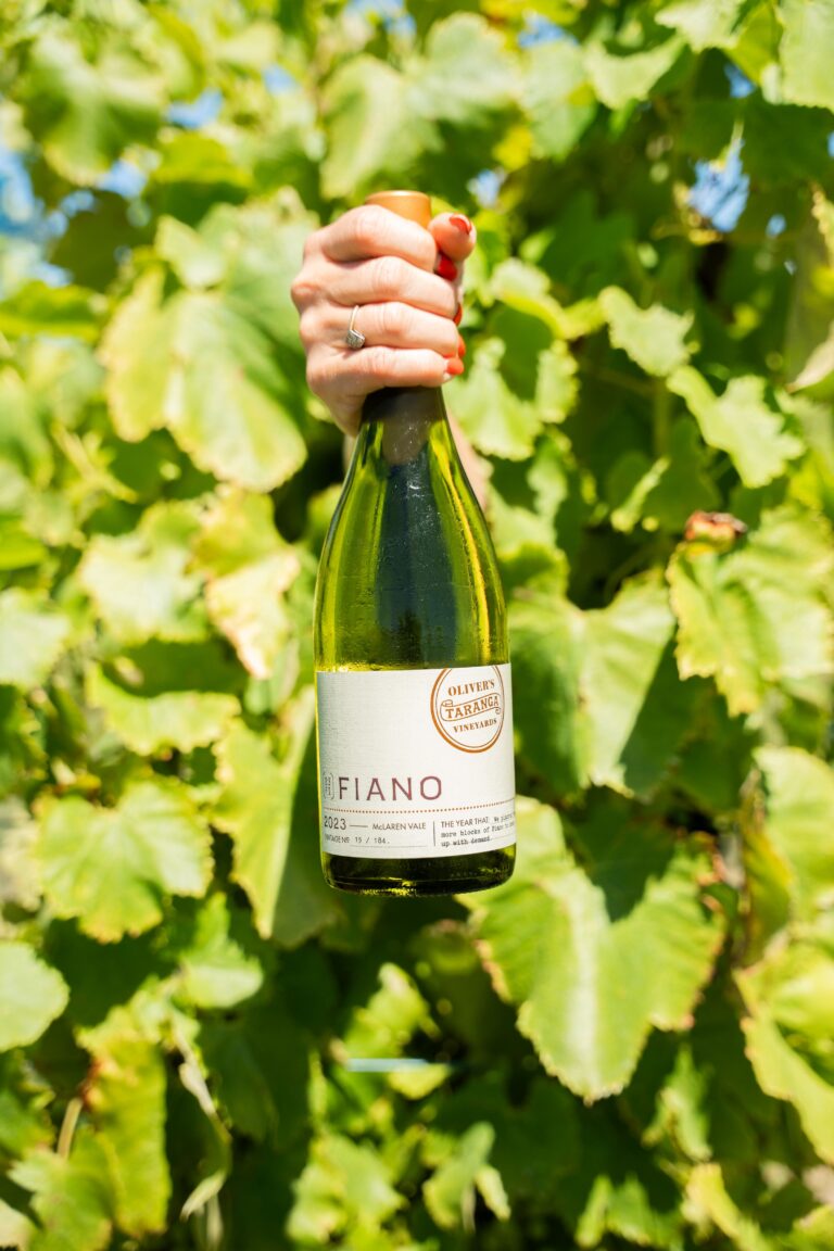 What is Fiano? 2025 | Oliver's Taranga Vineyards